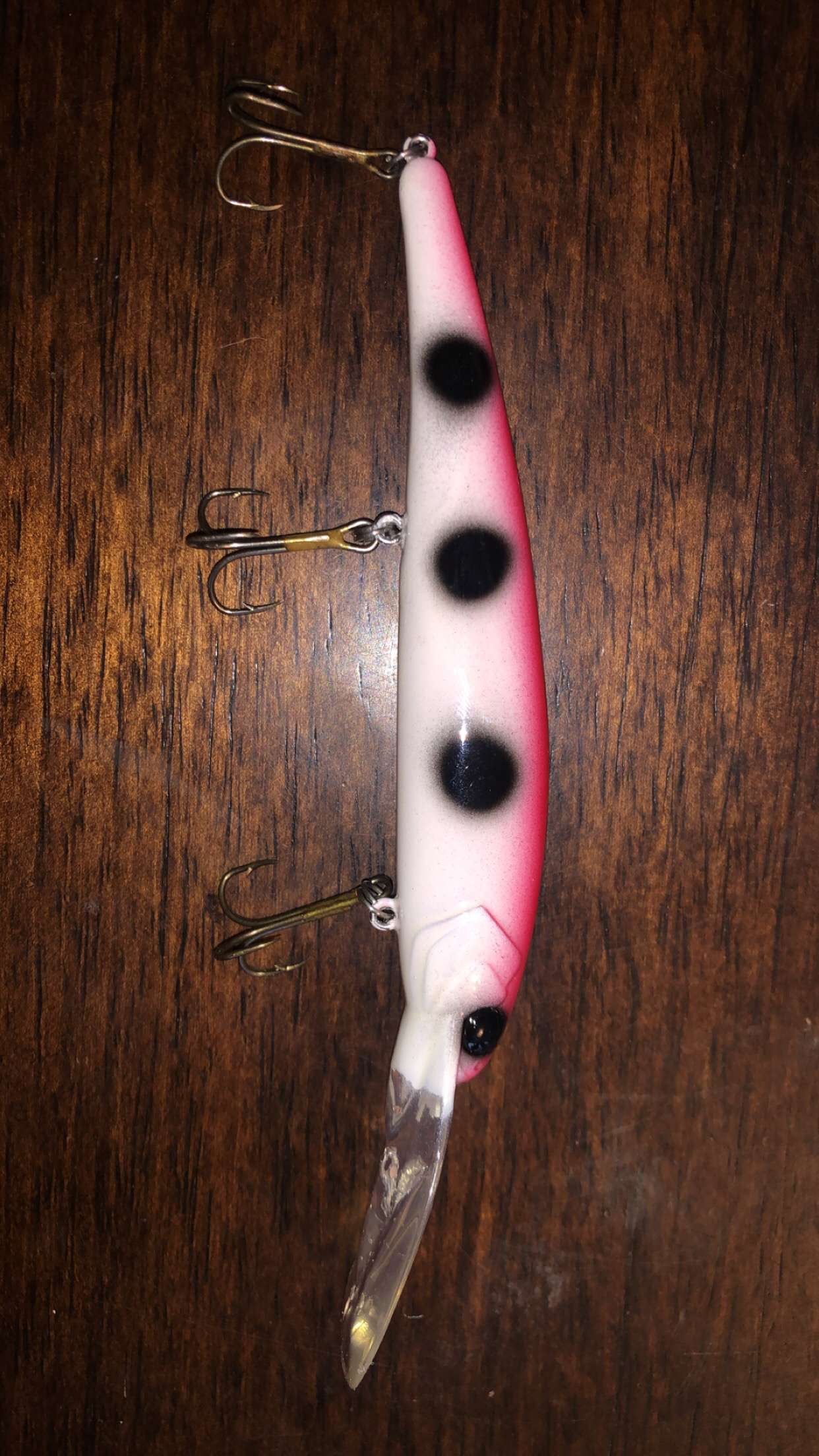 Bandit/Spotted Demon – Dakota Blades